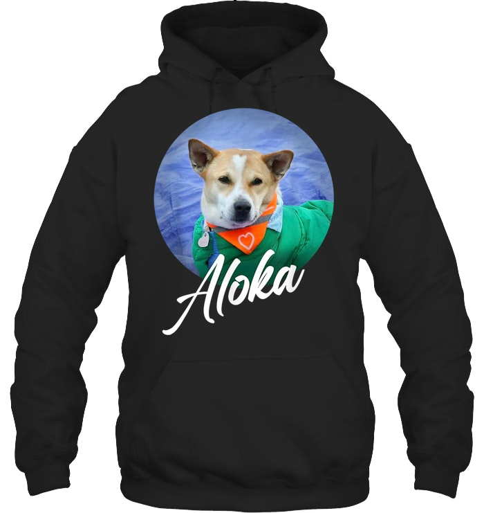 Aloka – The Walk for Peace Monk Dog Spreading Hope - weavehot